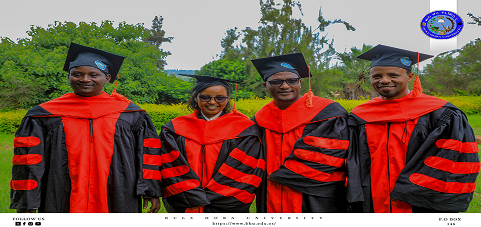 Bule Hora University